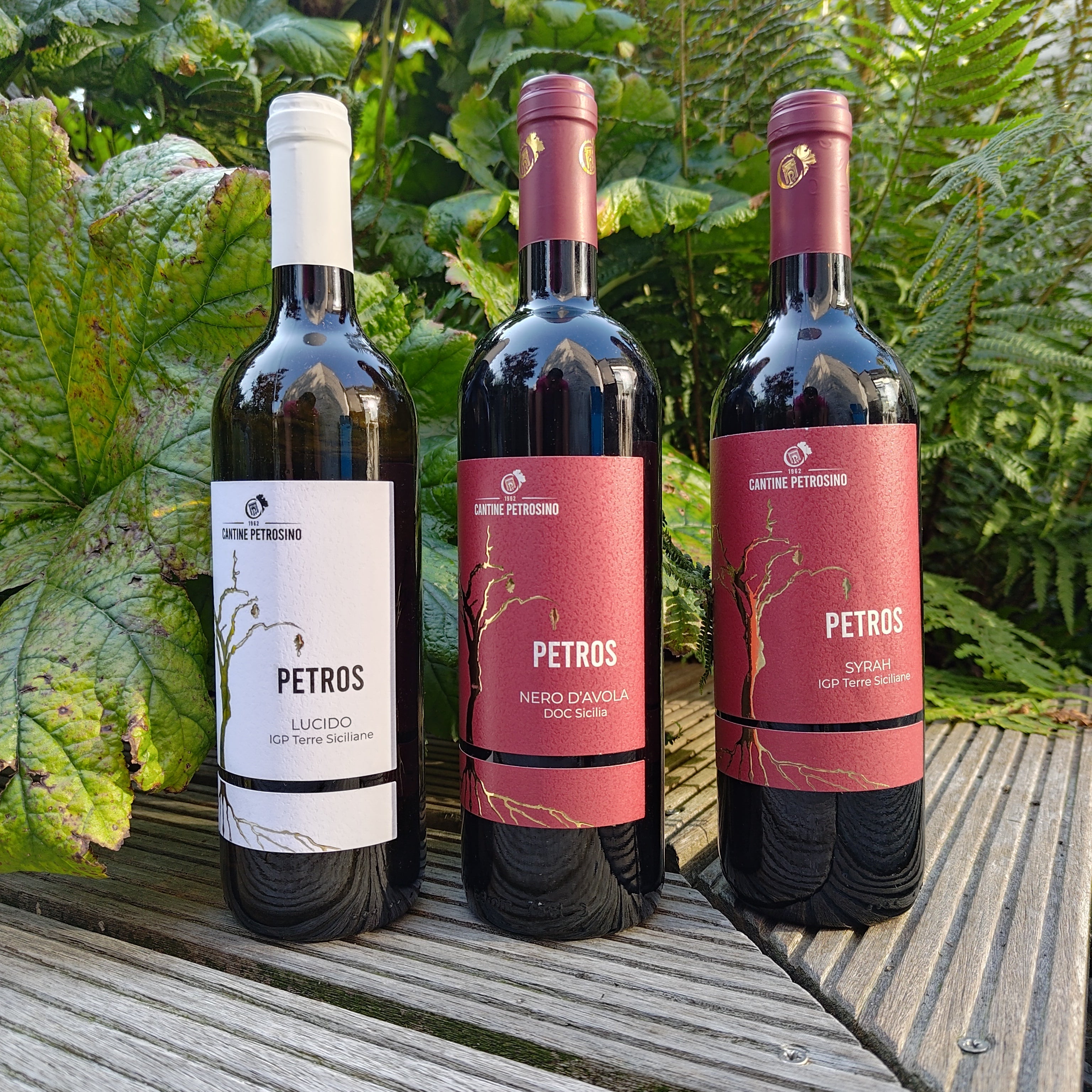 Cantine Petrosino Sicilian Wine Selections